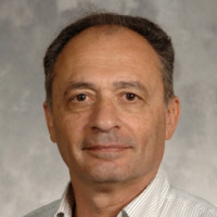 Milstein, David - Weizmann Institute of Science - Department of Organic ...