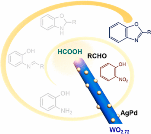 沉积在 WO2.72 纳米棒上的 AgPd 纳米颗粒作为硝基苯酚/硝基苯乙酮一锅法转化为苯并恶唑/喹唑啉的有效催化剂,Journal of ...
