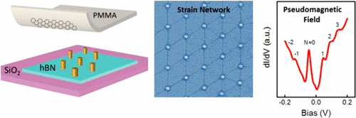 Visualizing Strain-Induced Pseudomagnetic Fields in Graphene through an hBN Magnifying Glass ...