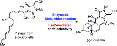 Chemo-enzymatic synthesis of equisetin,Chemical Communications - X-MOL