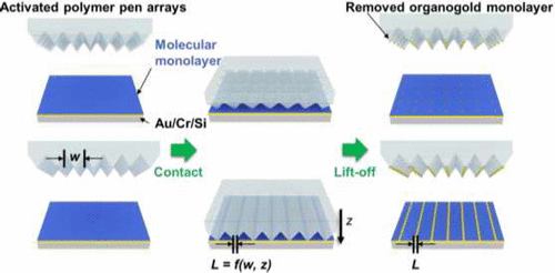 Polymer-Pen Chemical Lift-Off Lithography,Nano Letters - X-MOL