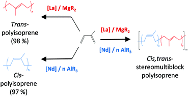 Isoprene chain shuttling polymerisation between cis and trans ...