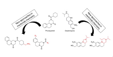 Praziquantel Mechanism Of Action