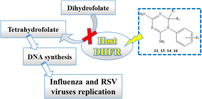 Host dihydrofolate reductase (DHFR)-directed cycloguanil analogues ...