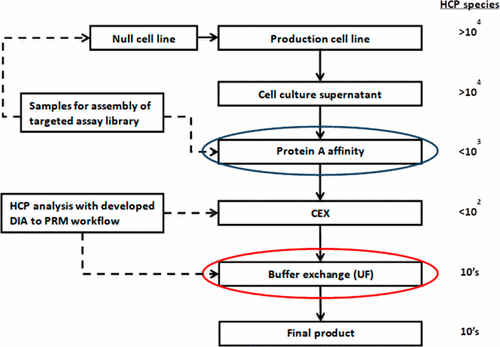 Host Cell Protein Profiling by Targeted and Untargeted Analysis of Data Independent Acquisition ...