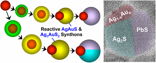 反应AgAuS和Ag 3 AUS 2个 合成子启用球形纳米晶体的连续转化成非对称的多组分纳米杂化粒子,Chemistry of ...