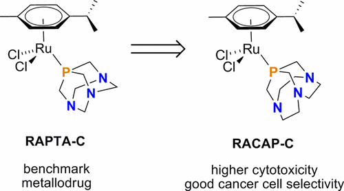 New Class of Half-Sandwich Ruthenium(II) Arene Complexes Bearing the Water-Soluble CAP Ligand as ...