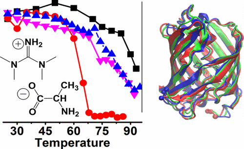 An Experimental and Molecular Dynamics Study of Red Fluorescent Protein ...