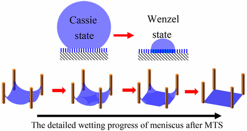 半月板接触柱基后Cassie液滴向Wenzel状态转变的机理研究,The Journal of Physical Chemistry C ...