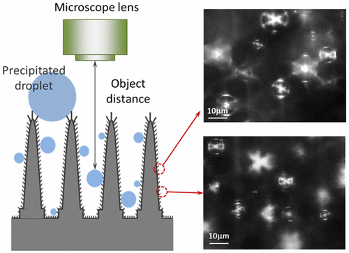 Superhydrophobic Condensation Enhanced by Conical Hierarchical ...