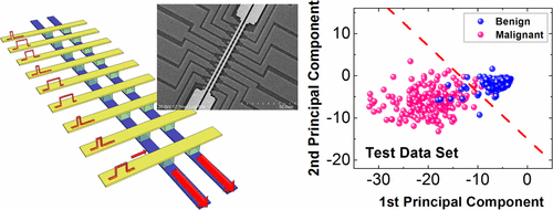 Experimental Demonstration of Feature Extraction and Dimensionality ...