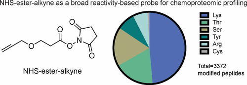NHS-Esters As Versatile Reactivity-Based Probes for Mapping Proteome-Wide Ligandable Hotspots ...