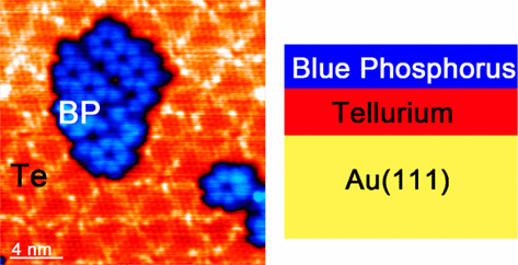 Growth of Quasi-Free-Standing Single-Layer Blue Phosphorus on Tellurium ...