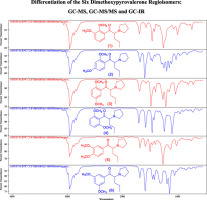 Differentiation of the six dimethoxypyrovalerone regioisomers: GC-MS ...