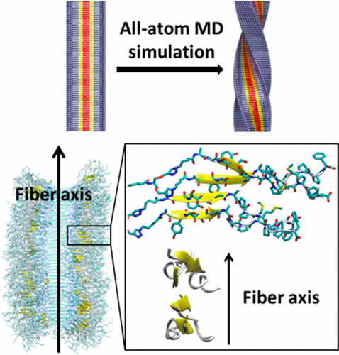All-Atom Molecular Dynamics Simulations of Peptide Amphiphile ...