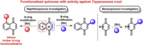 Rhodium-catalyzed C-H bond activation for the synthesis of quinonoid ...