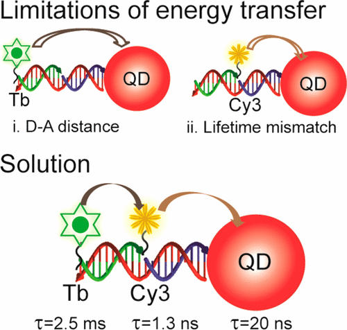 Bridging Lanthanide to Quantum Dot Energy Transfer with a Short ...