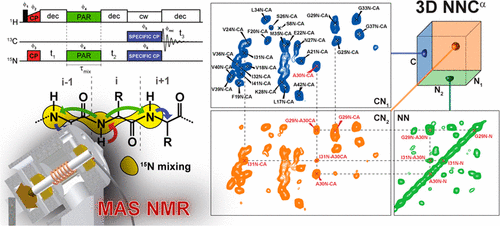 3D MAS NMR Experiment Utilizing Through-Space 15N–15N Correlations ...
