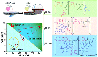 Novel thin-film composite membranes via manipulating the synergistic ...