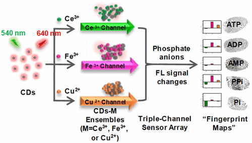 Applying Carbon Dots-Metal Ions Ensembles as a Multichannel Fluorescent Sensor Array: Detection ...