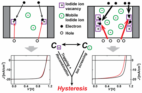 Recombination in Perovskite Solar Cells: Significance of Grain ...