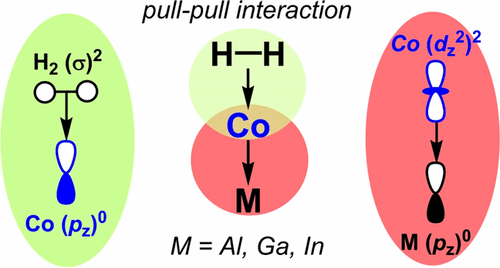 Stable Dihydrogen Complexes of Cobalt(−I) Suggest an Inverse trans ...