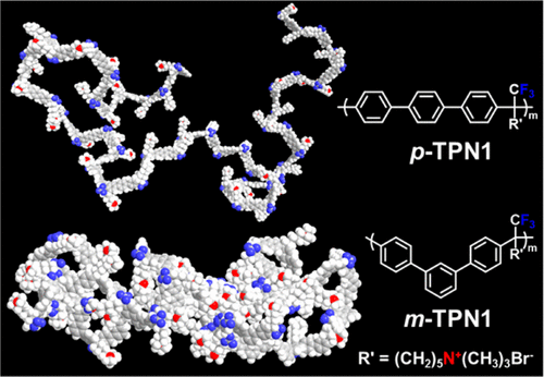 Poly(terphenylene) Anion Exchange Membranes: The Effect of Backbone ...