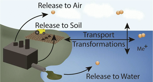 评估环境中工程纳米材料的风险：nanoFate模型的开发和应用,Environmental Science & Technology - X-MOL