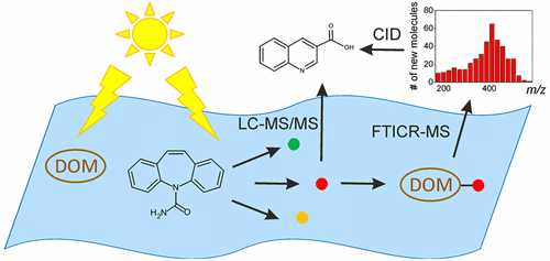 Photochemically Induced Bound Residue Formation of Carbamazepine with ...