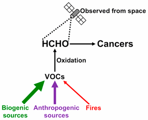 Formaldehyde (HCHO) As a Hazardous Air Pollutant: Mapping Surface Air ...
