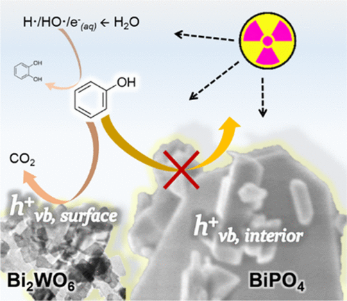 X-ray Radiocatalytic Activity and Mechanisms of Bismuth Complex Oxides ...