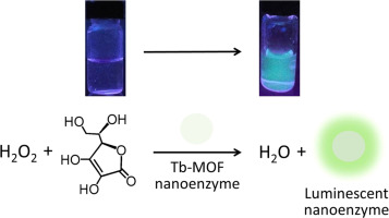 PA-Tb-Cu MOF as luminescent nanoenzyme for catalytic assay of hydrogen ...
