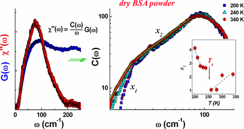 Low-Frequency Dynamics of BSA Complementarily Studied by Raman and ...