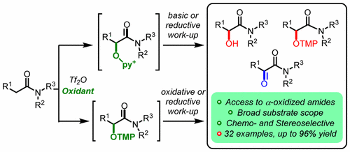 Flexible and Chemoselective Oxidation of Amides to α-Keto Amides and α ...
