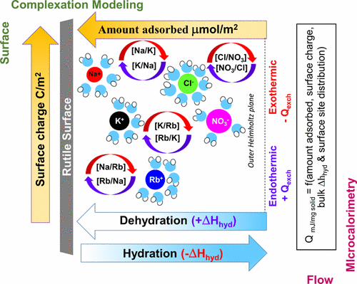 Ion Exchange Thermodynamics at the Rutile–Water Interface: Flow ...
