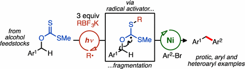 O-Benzyl Xanthate Esters under Ni/Photoredox Dual Catalysis: Selective ...
