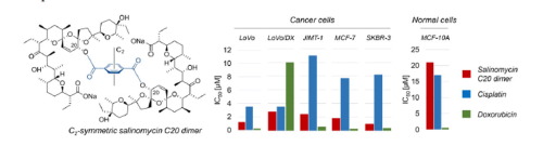 Bivalent polyether ionophores: Synthesis and biological evaluation of ...