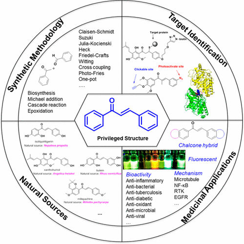 Chalcone: A Privileged Structure in Medicinal Chemistry,Chemical Reviews - X-MOL
