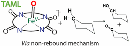 Targeting of High-Valent Iron-TAML Activators at Hydrocarbons and ...