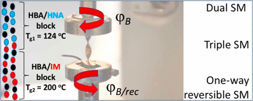 High-Temperature Shape Memory Behavior of Novel All-Aromatic (AB)n-Multiblock Copoly(ester imide ...