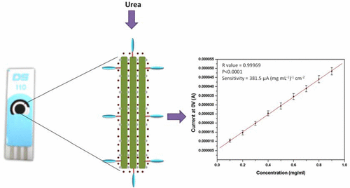 Simple and Mediator-Free Urea Sensing Based on Engineered Nanodiamonds ...