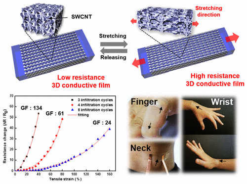 Three-Dimensional Continuous Conductive Nanostructure for Highly Sensitive and Stretchable ...
