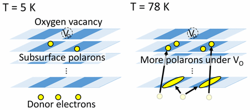 Subsurface Polaron Concentration As a Factor in the Chemistry of ...