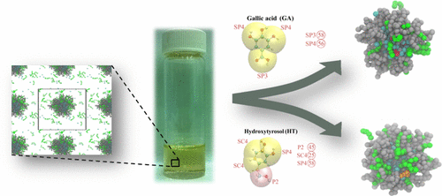 反向胶束作为抗氧化剂载体：实验和分子动力学研究。,Langmuir - X-MOL