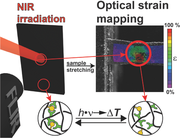 Light-Fueled, Spatiotemporal Modulation of Mechanical Properties and ...