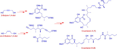 Studies towards the total synthesis of cruentaren A and B ...