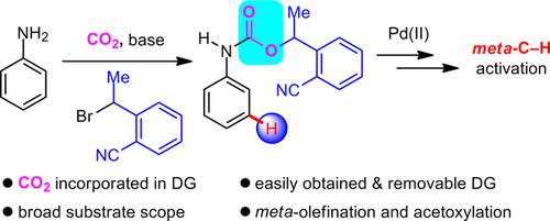 Incorporation of Carbon Dioxide into Carbamate Directing Groups ...