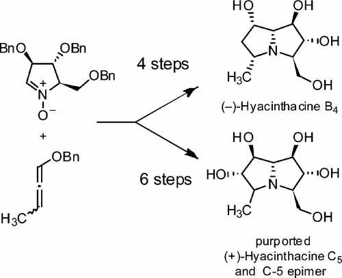 Alkoxyallene-Based Stereodivergent Syntheses of (−)-Hyacinthacine B4 ...