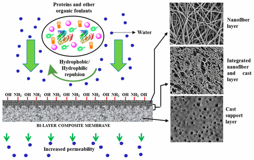 Nanofiber Composite Membrane with Intrinsic Janus Surface for Reversed ...