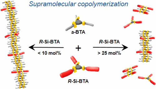 Supramolecular Copolymers: Structure and Composition Revealed by ...